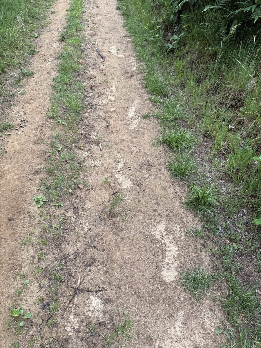 Introduction To Human Tracking | Woodcraft School